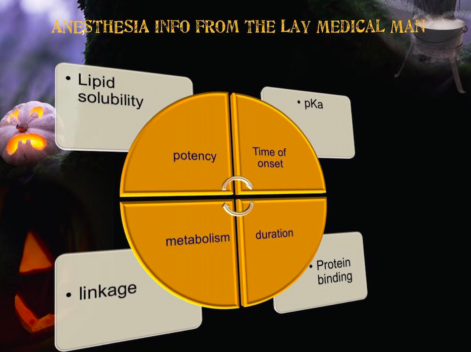 BASICS: POTENCY, DURATION AND ONSET OF ACTION OF LOCAL ANESTHETICS ...